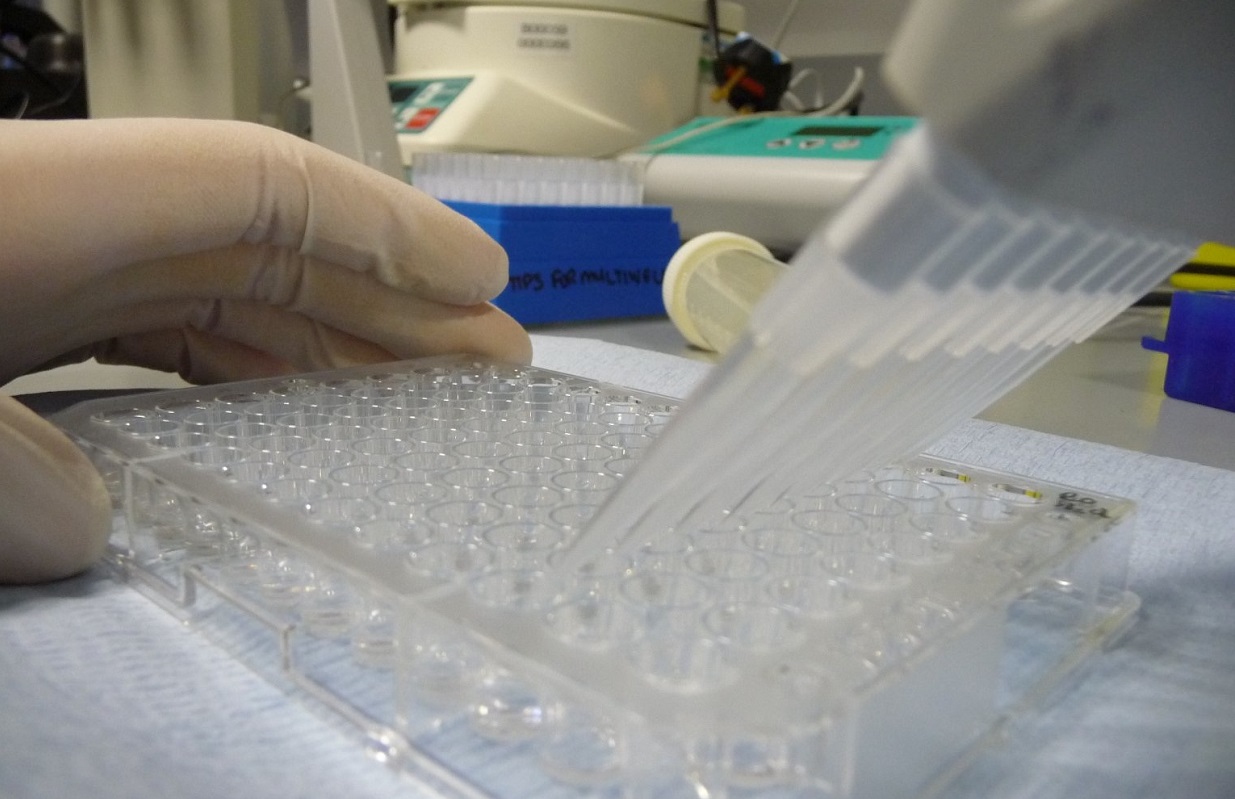 Exeter Professor elected as Fellow of prestigious academy for ...
