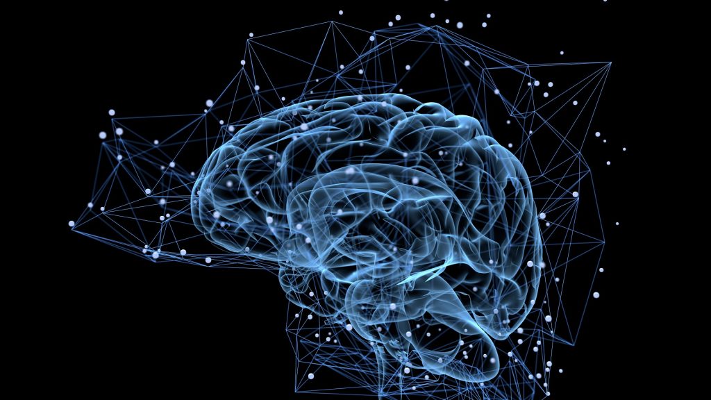 Genetics and Genomics - Exeter Biomedical Research Centre